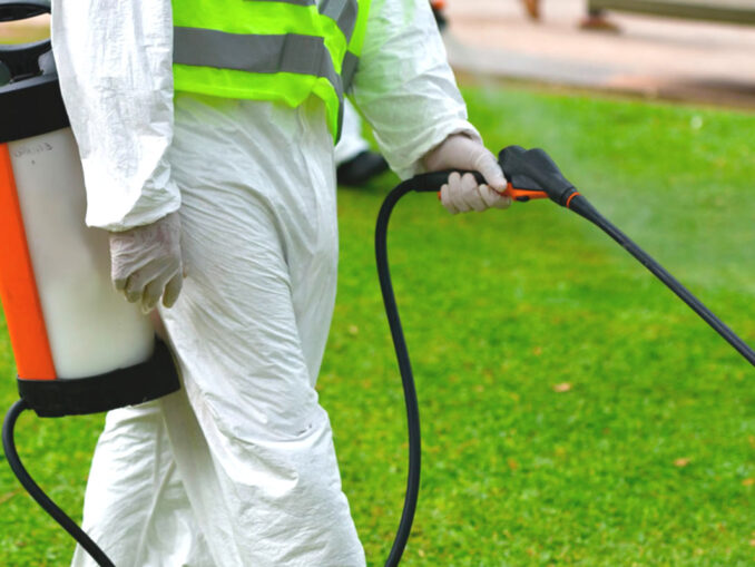 Fumigación con humo para cucarachas - Fumigación de casas, jardines e ...